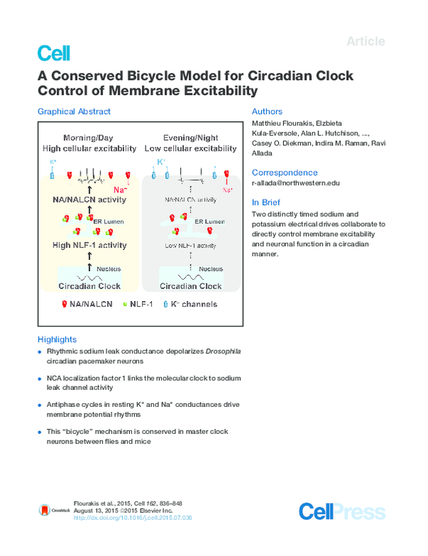 (PDF) A Conserved Bicycle Model for Circadian Clock Control of Membrane ...