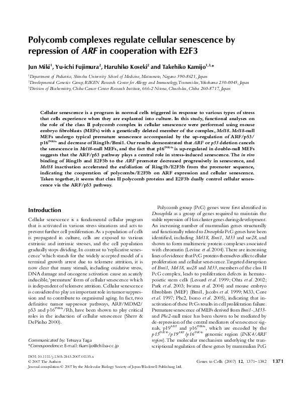 (PDF) Polycomb complexes regulate cellular senescence by repression of ARF in cooperation with E2F3