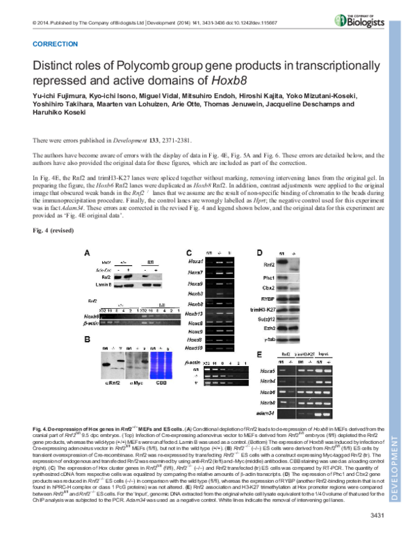 (PDF) Distinct roles of Polycomb group gene products in ...