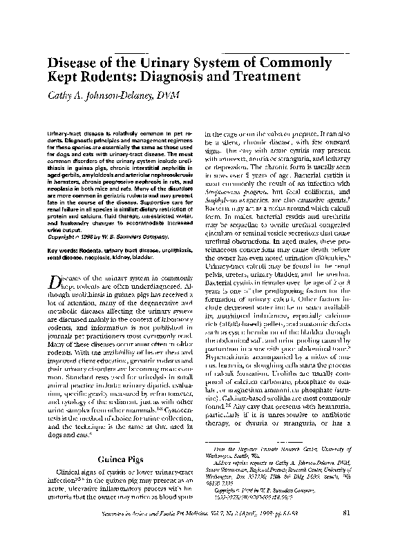 (PDF) Disease of the urinary system of commonly kept rodents: Diagnosis ...