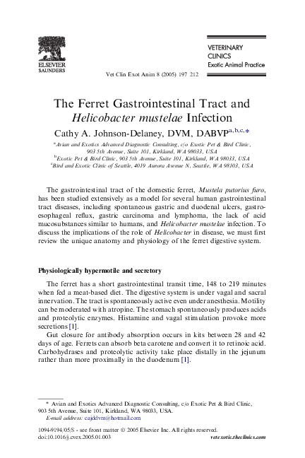 (PDF) The Ferret Gastrointestinal Tract and Helicobacter mustelae Infection