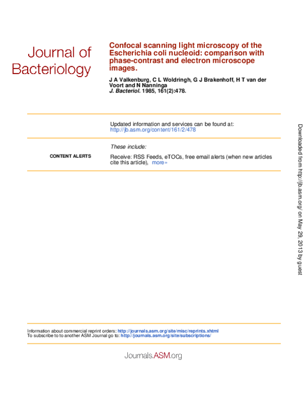 (PDF) Confocal Scanning Light Microscopy ofthe Escherichia coli ...
