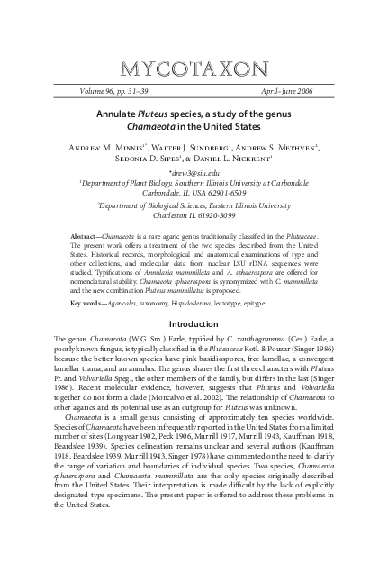 (PDF) Annulate Pluteus species: a study of the genus Chamaeota in the ...