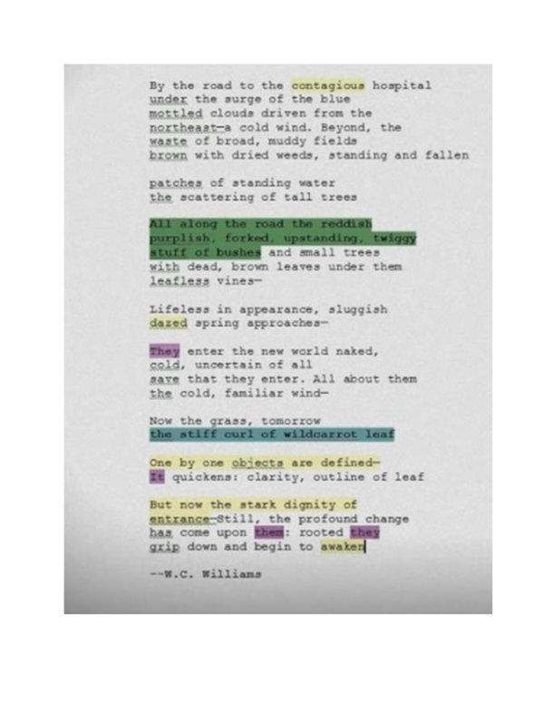 (PDF) Grading William Carlos Williams [Screenshots]