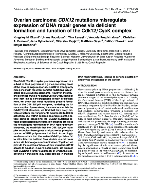 (PDF) Ovarian carcinoma CDK12 mutations misregulate expression of DNA ...