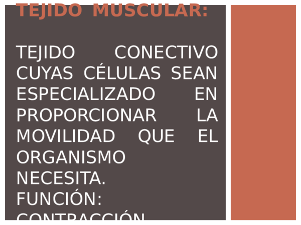 (PPT) Tejido muscular