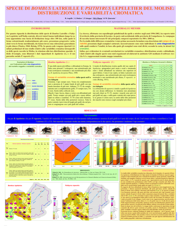 (PDF) Augello et al., 2007 - Variabilità cromatica bombi molise (poster ...