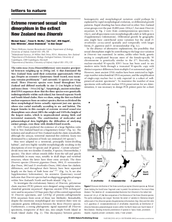 (PDF) Extreme Reversed Sexual Size Dimorphism In the Extinct New ...