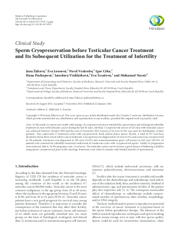 (PDF) Sperm Cryopreservation before Testicular Cancer Treatment and Its ...