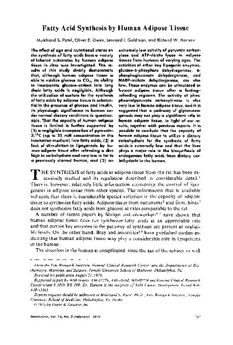 (PDF) Fatty acid synthesis by human adipose tissue