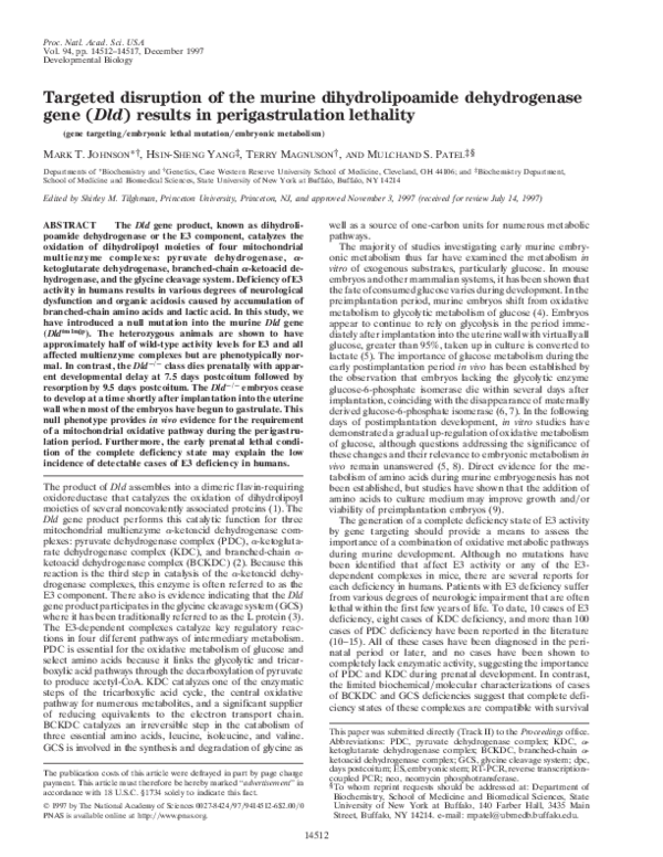 (PDF) Targeted disruption of the murine dihydrolipoamide dehydrogenase ...