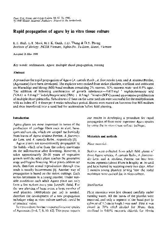 (PDF) Rapid propagation of agave by in vitro tissue culture