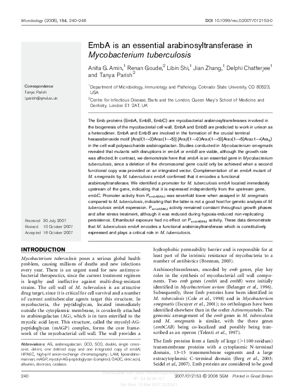 (PDF) EmbA is an essential arabinosyltransferase in Mycobacterium ...