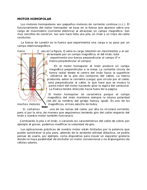 (DOC) MOTOR HOMOPOLAR