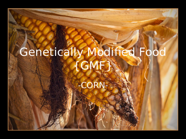 (PPT) Genetically Modified Food {GMF}_Corn.pptx