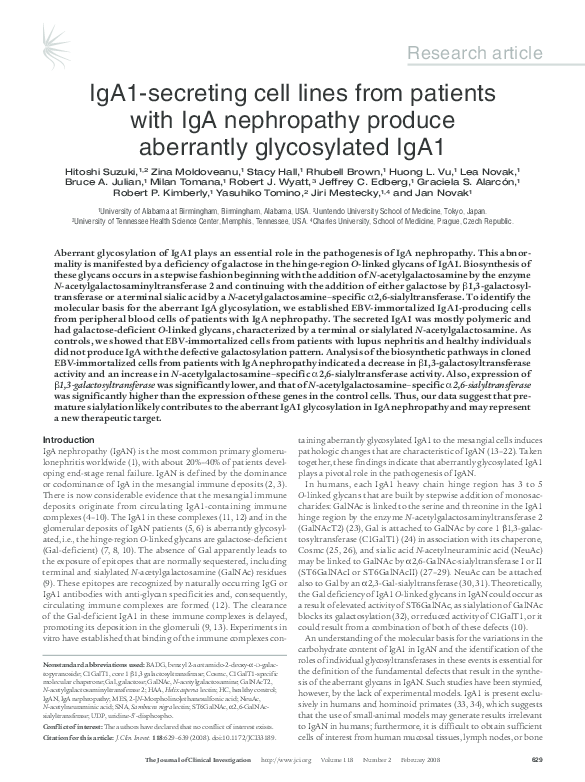(PDF) IgA1-secreting cell lines from patients with IgA nephropathy ...
