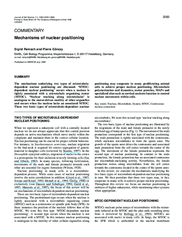 (PDF) Mechanisms of nuclear positioning