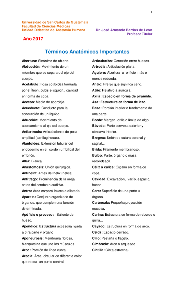(PDF) Términos Anatómicos Importantes