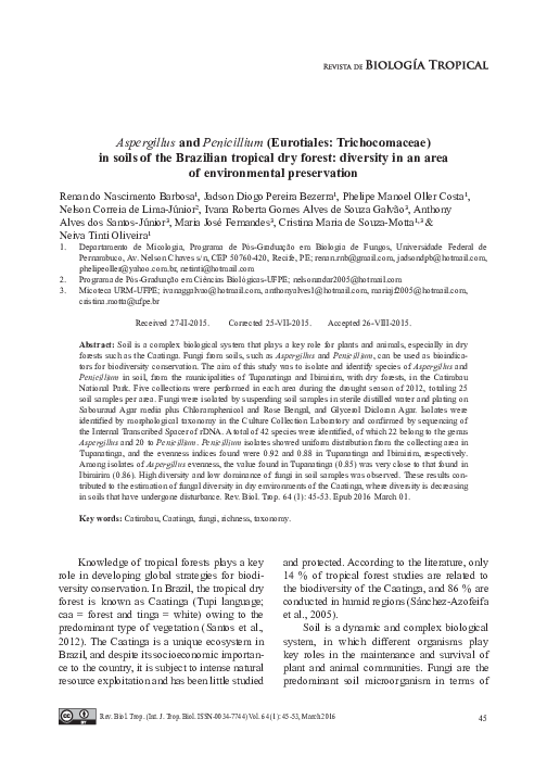 (PDF) Aspergillus and Penicillium (Eurotiales: Trichocomaceae) in soils ...