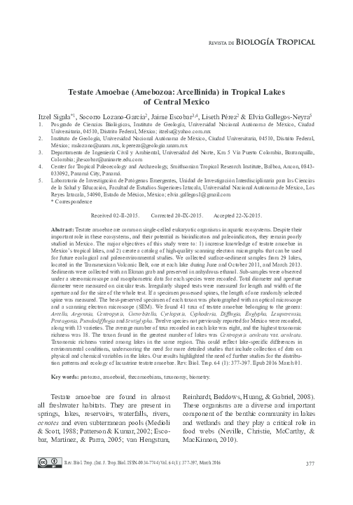 (PDF) Testate Amoebae (Amebozoa: Arcellinida) in Tropical Lakes of ...