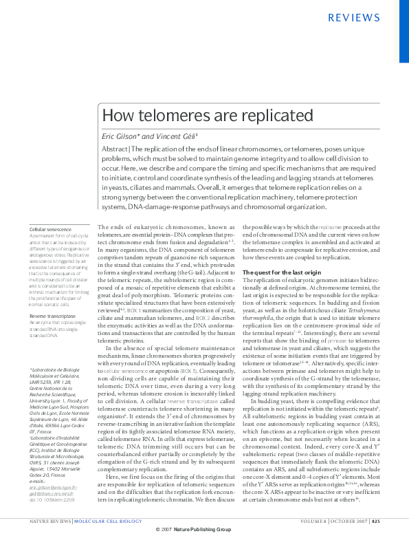 (PDF) How telomeres are replicated