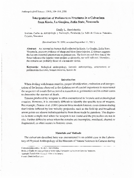 Interpretation of Perimortem Fractures in a Calvarium from Kusia, La ...