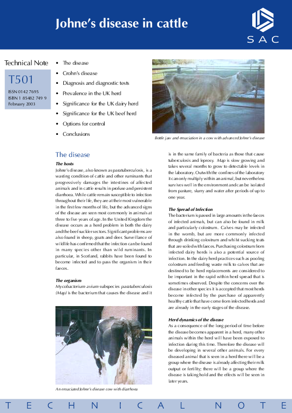 (PDF) Johne's Disease in Cattle