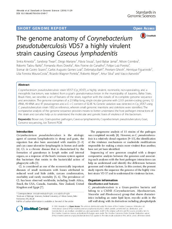 (PDF) The genome anatomy of Corynebacterium of Corynebacterium ...