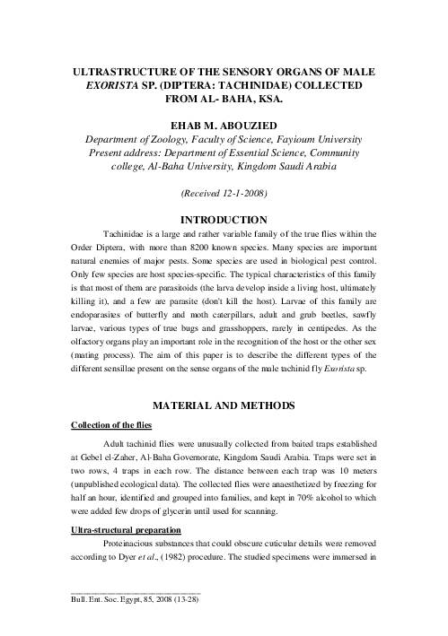 (PDF) ULTRASTRUCTURE OF THE SENSORY ORGANS OF MALE EXORISTA SP ...