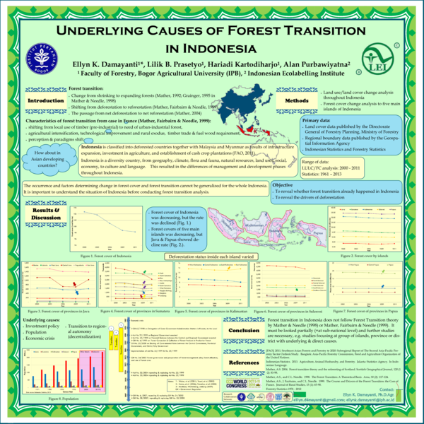 (PDF) Underlying causes of forest transitions in Indonesia