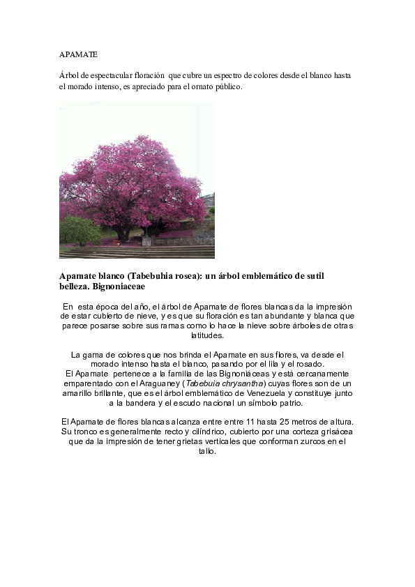 (DOC) APAMATE arbol para sembrar.docx