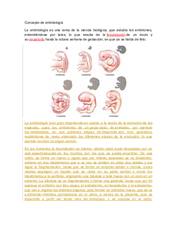 (DOC) Concepto de embriología