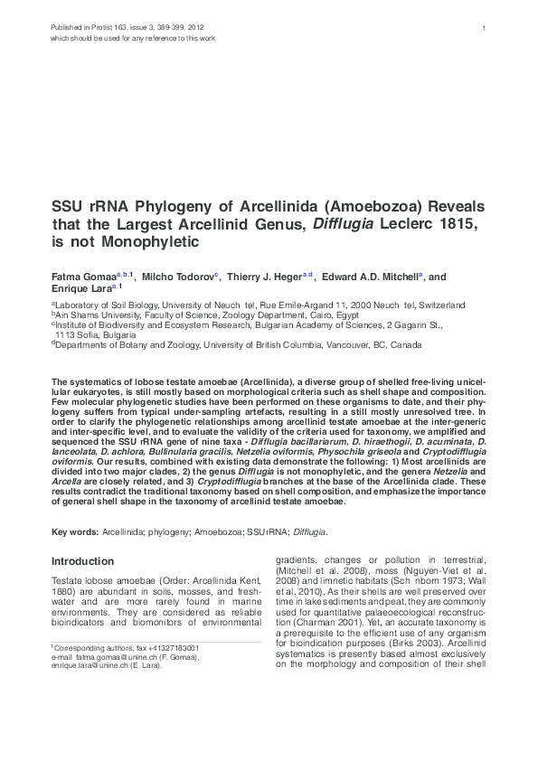 (PDF) rRNA Phylogeny of Arcellinida (Amoebozoa) Reveals that the ...