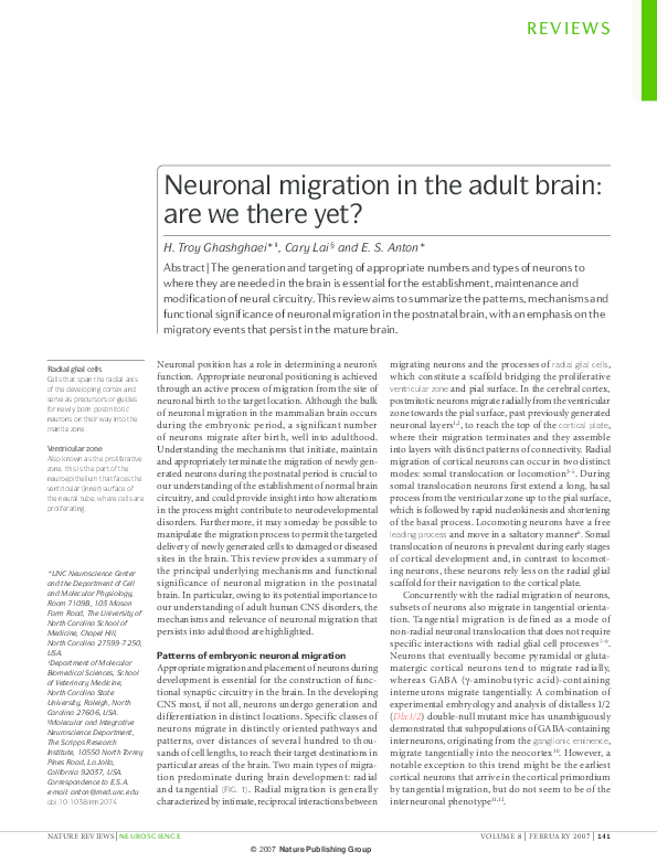 (PDF) Neuronal migration in the adult brain: are we there yet?