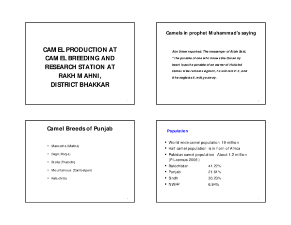 (PDF) CAMEL PRODUCTION AT CAMEL BREEDING AND RESEARCH STATION AT RAKH ...