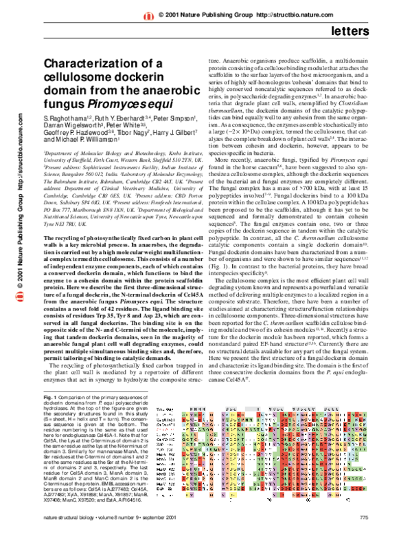 (PDF) Characterization of a cellulosome dockerin domain from the ...