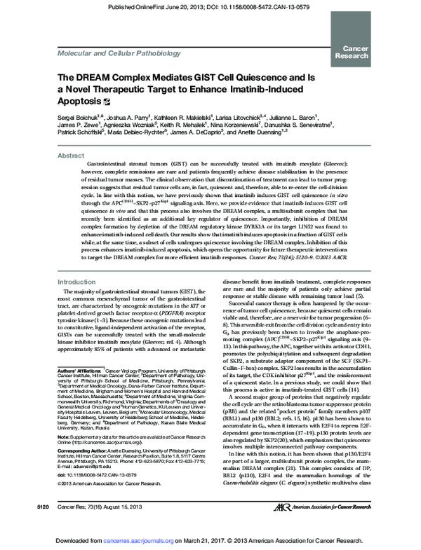(PDF) DREAM Complex: Targeting Quiescence in GISTs