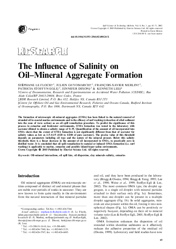 (PDF) The Influence of Salinity on Oil–Mineral Aggregate Formation