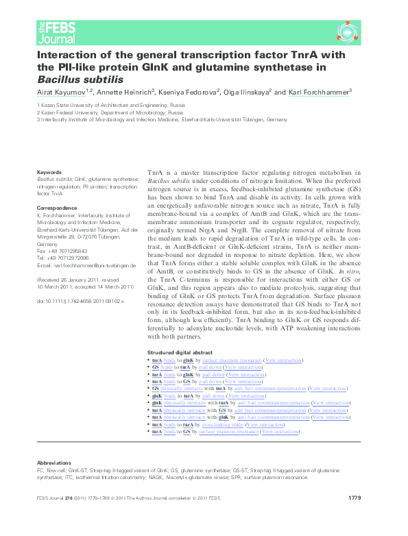 (PDF) Interaction of the general transcription factor TnrA with the PII ...