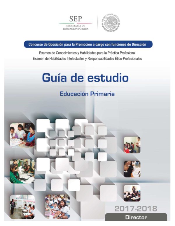 (PDF) Director primaria