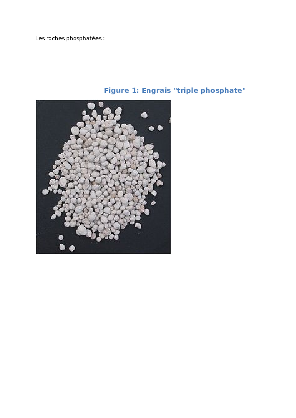 (DOC) Les roches phosphatées : Figure SEQ Figure \* ARABIC 1: Engrais ...