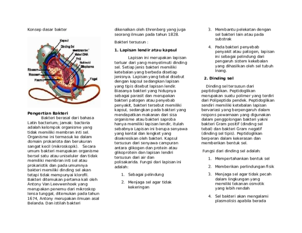 (DOC) Konsep dasar bakter