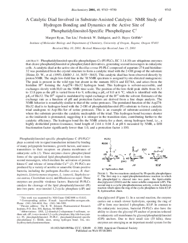 (PDF) A Catalytic Diad Involved in Substrate-Assisted Catalysis: NMR ...