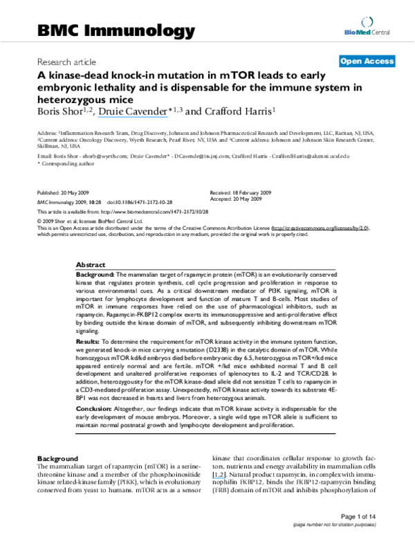 (PDF) A kinase dead knock-in mutation in mTOR leads to early embryonic ...