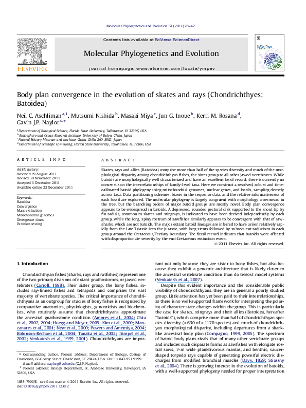 (PDF) Body plan convergence in the evolution of skates and rays ...