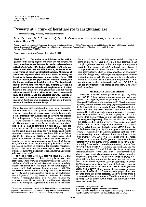 (PDF) Primary structure of keratinocyte transglutaminase (molecular ...