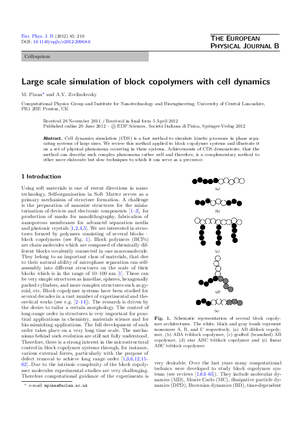 (PDF) Large scale simulation of block copolymers with cell dynamics | Marco Pinna - Academia.edu