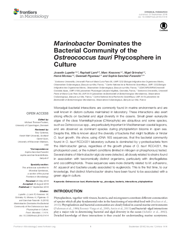 (PDF) Marinobacter Dominates the Bacterial Community of the ...