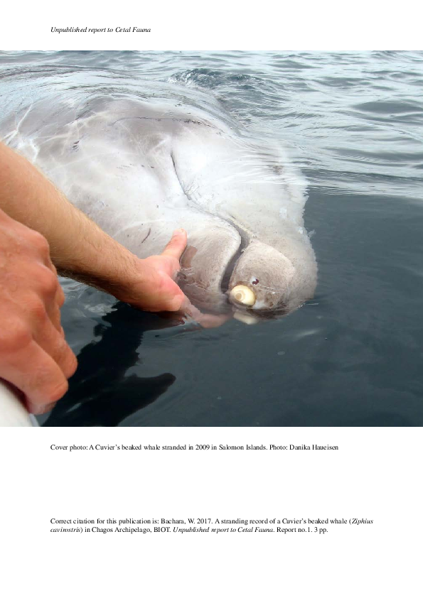 A stranding record of a Cuvier’s beaked whale (Ziphius cavirostris) in ...