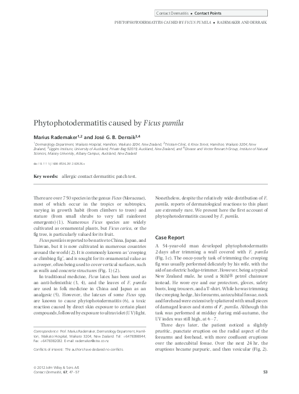 (PDF) Phytophotodermatitis caused by Ficus pumila